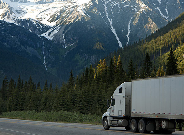 REFTRANSFLOT - Shipping, Transportation, Logistics